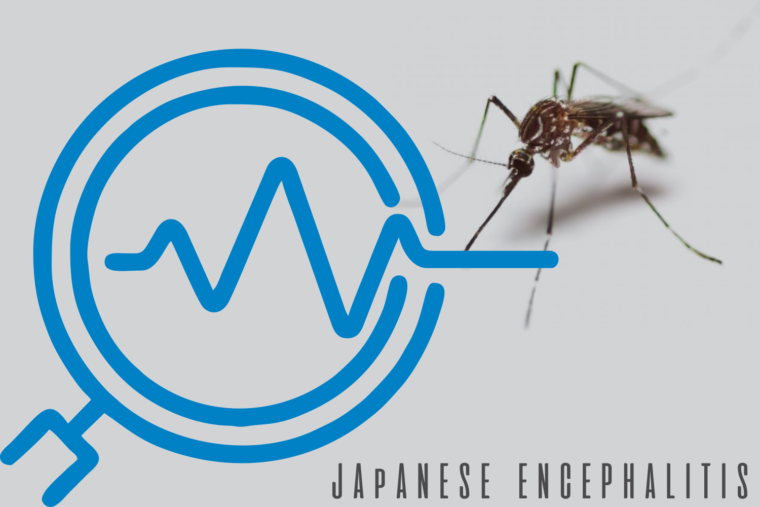 Diagnosis, Management, and Prevention of Japanese Encephalitis – The ...