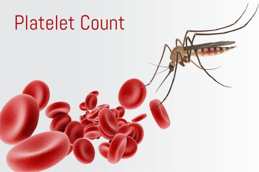 The Importance of Platelet – The Health Quest